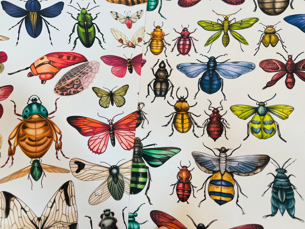 Printed Paper Custom Pack Bugs Insects – CT Scrapbooks